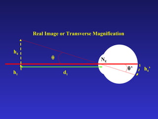 Magnification | PPT