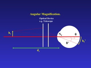 Magnification | PPT