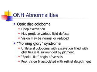 Neuro-ophthalmology | PPT