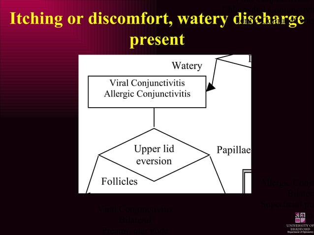 Differential Diagnosis of Red Eye | PPT