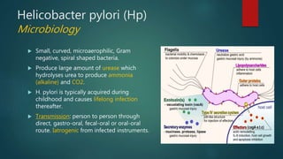 Helicobacter pylori associated Peptic ulcer disease | PPT