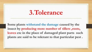 Host plant resistance | PPTX