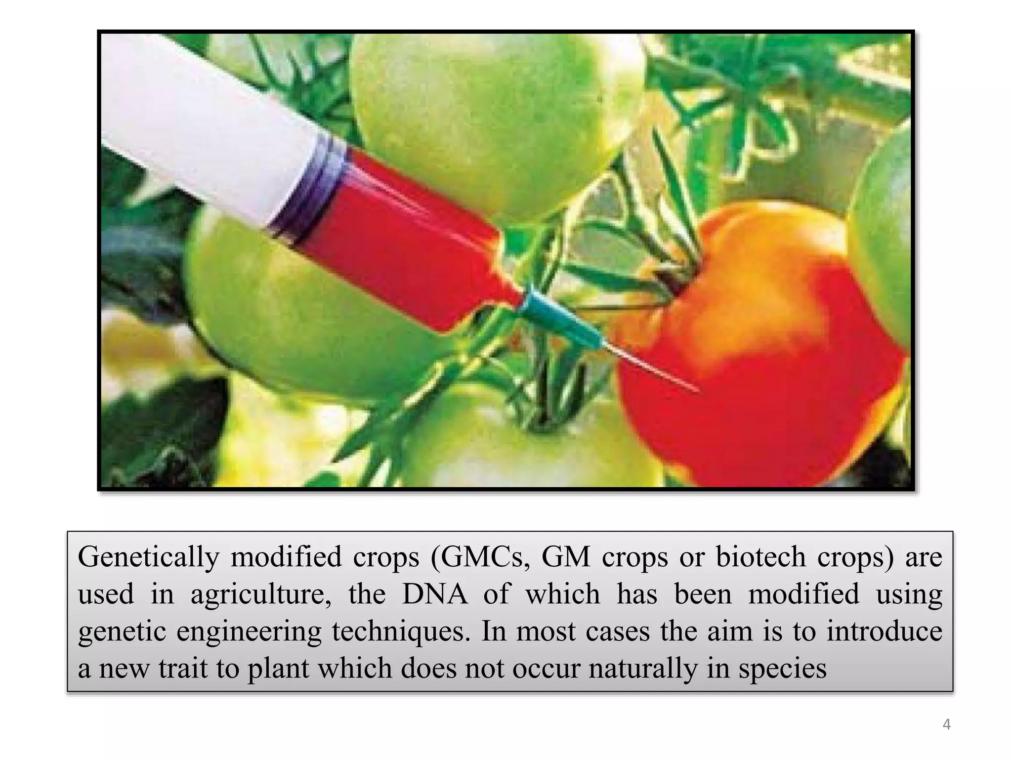 Genetic engineering and development of transgenic plants | PPTX