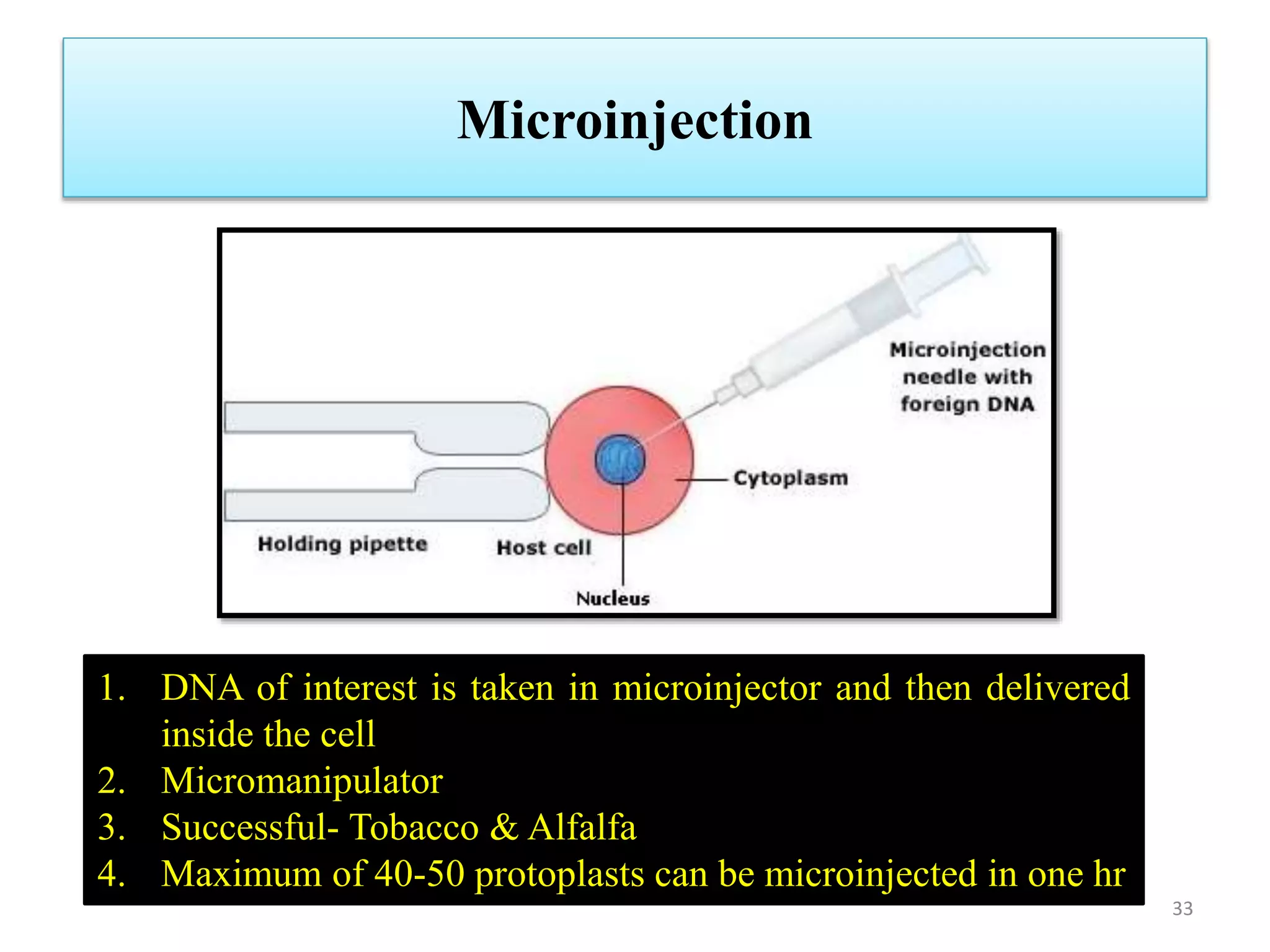 Genetic engineering and development of transgenic plants