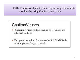 Genetic engineering and development of transgenic plants | PPTX