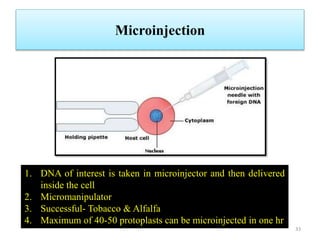 Genetic engineering and development of transgenic plants | PPTX