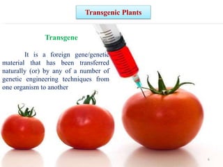 Genetic engineering and development of transgenic plants | PPTX