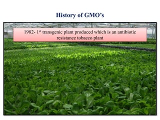Genetic engineering and development of transgenic plants | PPTX