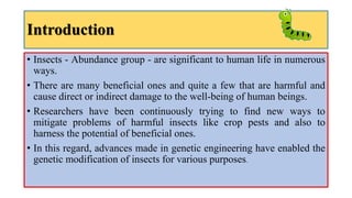 Advances in area of insect biotechnology including genetic engineering ...