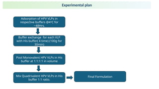 HPV-11 vaccines formulation and stability | PPT