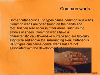 Hpv - Human Papilloma Virus | PPTX | Sexual Conditions | Sexual Health