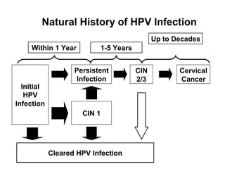 Hpv | PPT