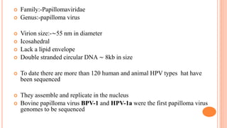 Hpv | PPTX