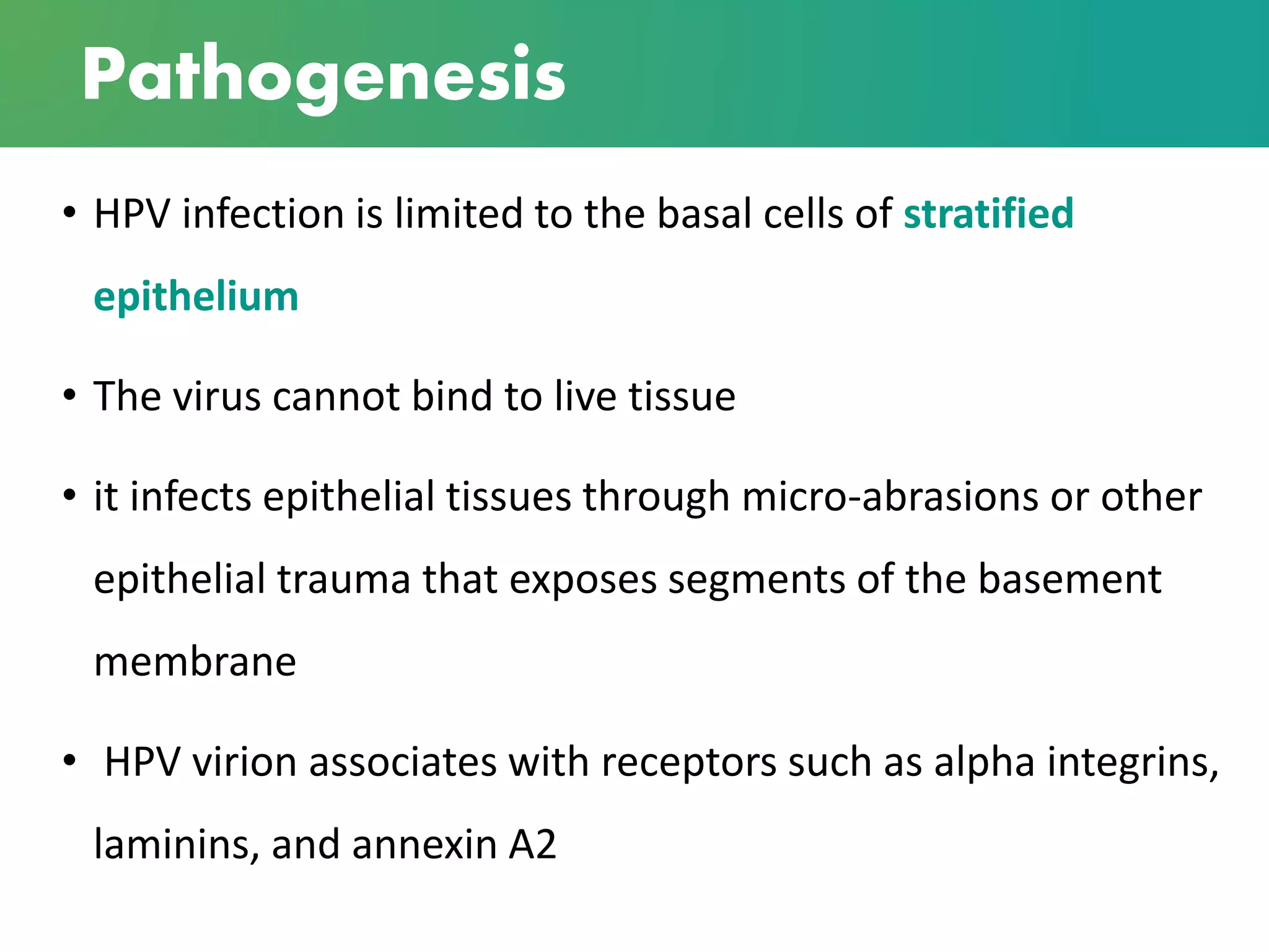 Human papilloma virus | PDF