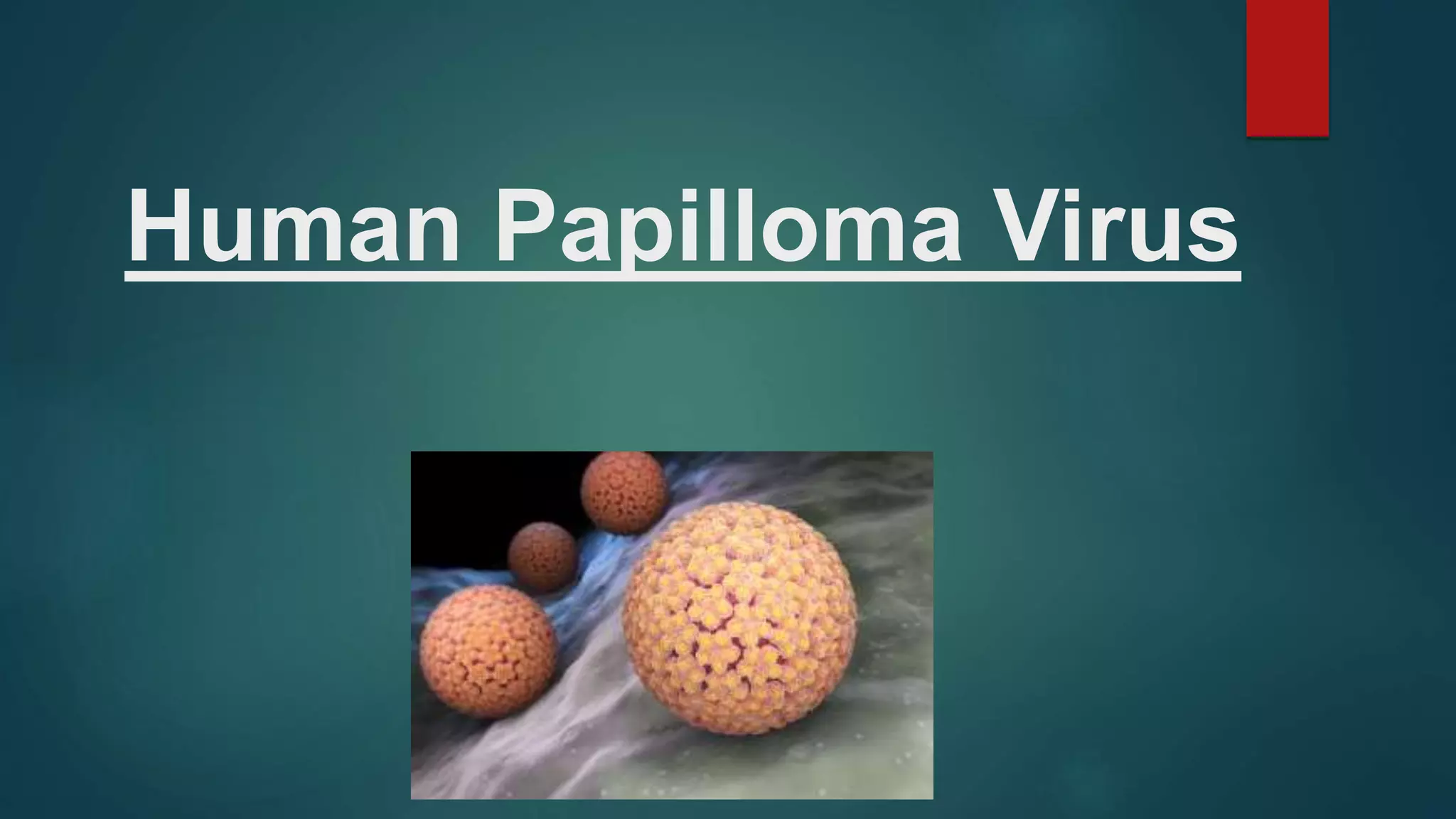 Human Papilloma Virus Made Very Easy! | PPTX