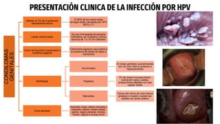 HPV.pptx