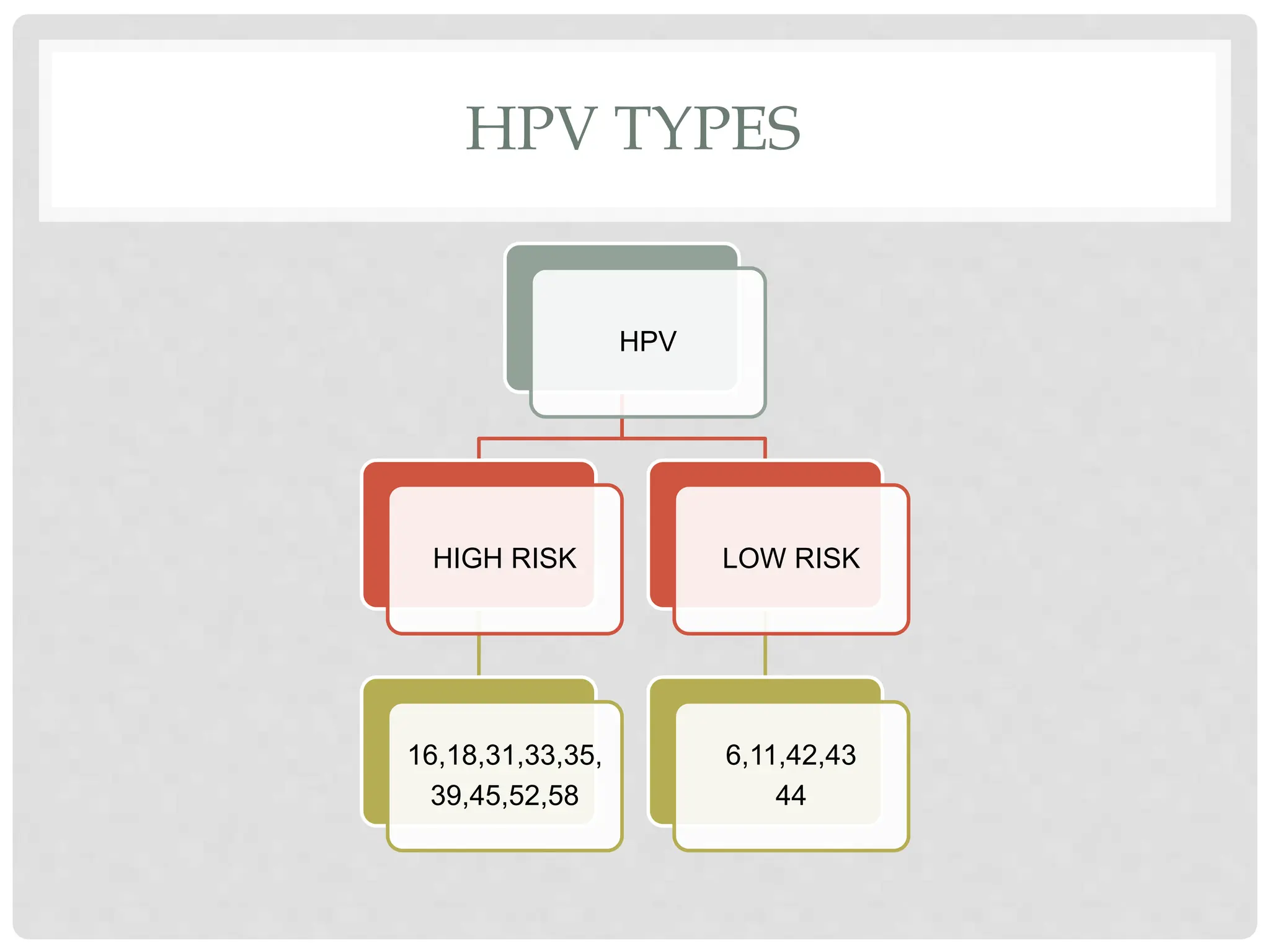 Human Papilloma Virus AND CERVICAL CANCER.pptx