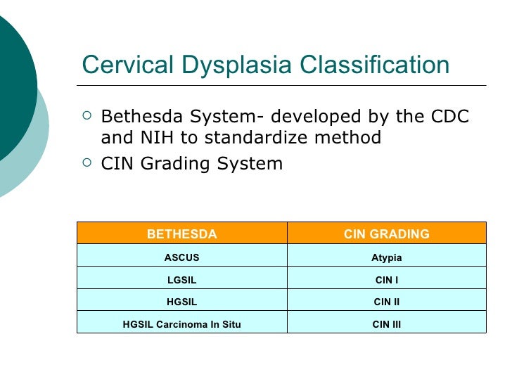 HPV and Cervical Cancer Screening