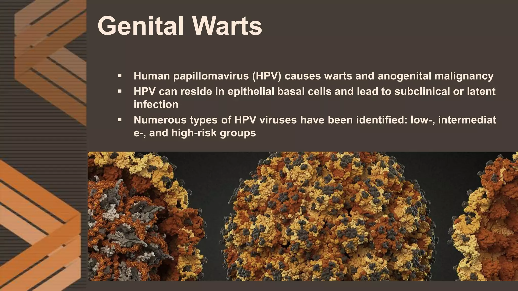 Genital Warts(HPV), Genital Herpes | PPTX