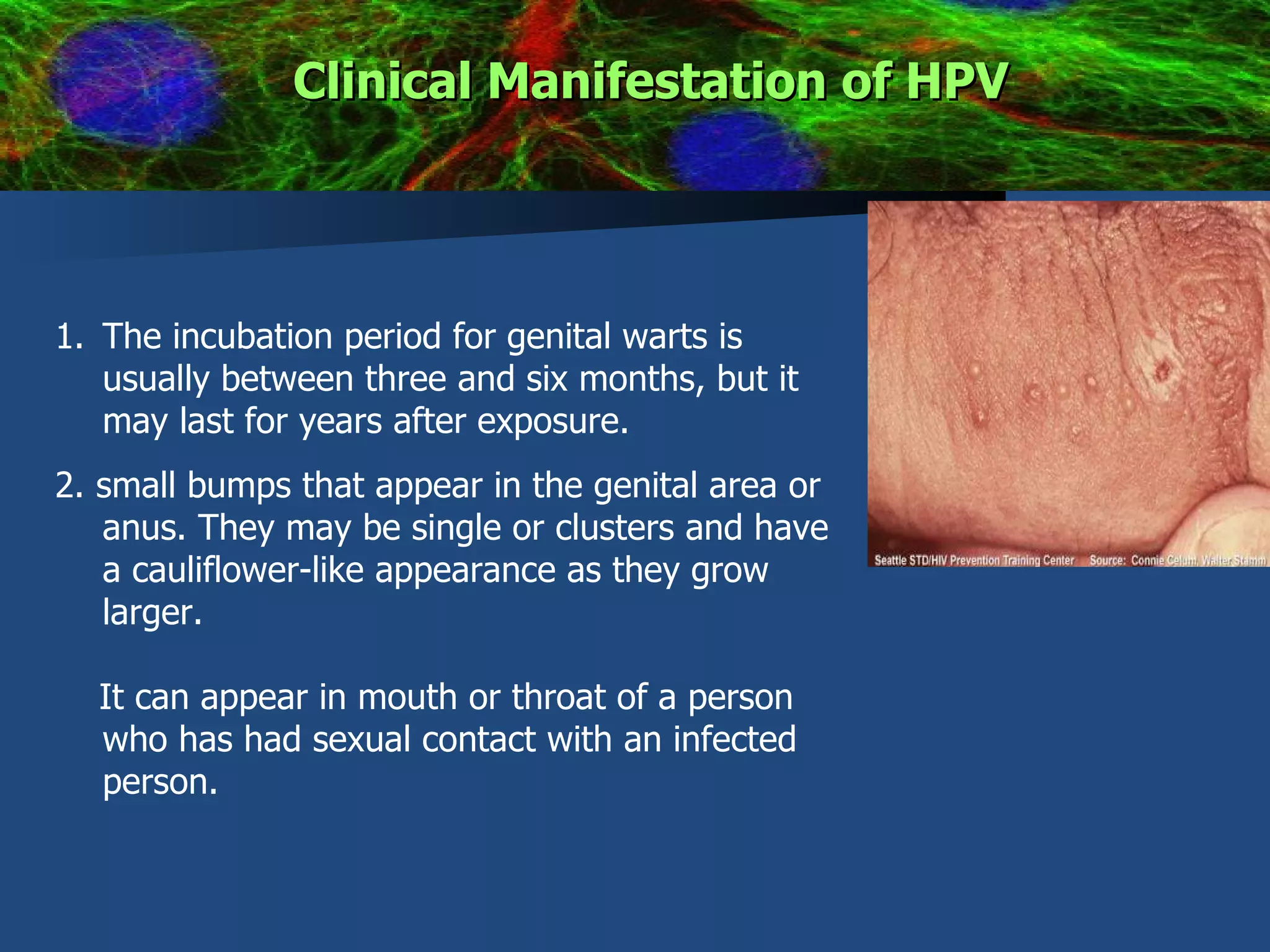 HUMAN PAPILLOMA VIRAL INFECTION 2010 | PPT