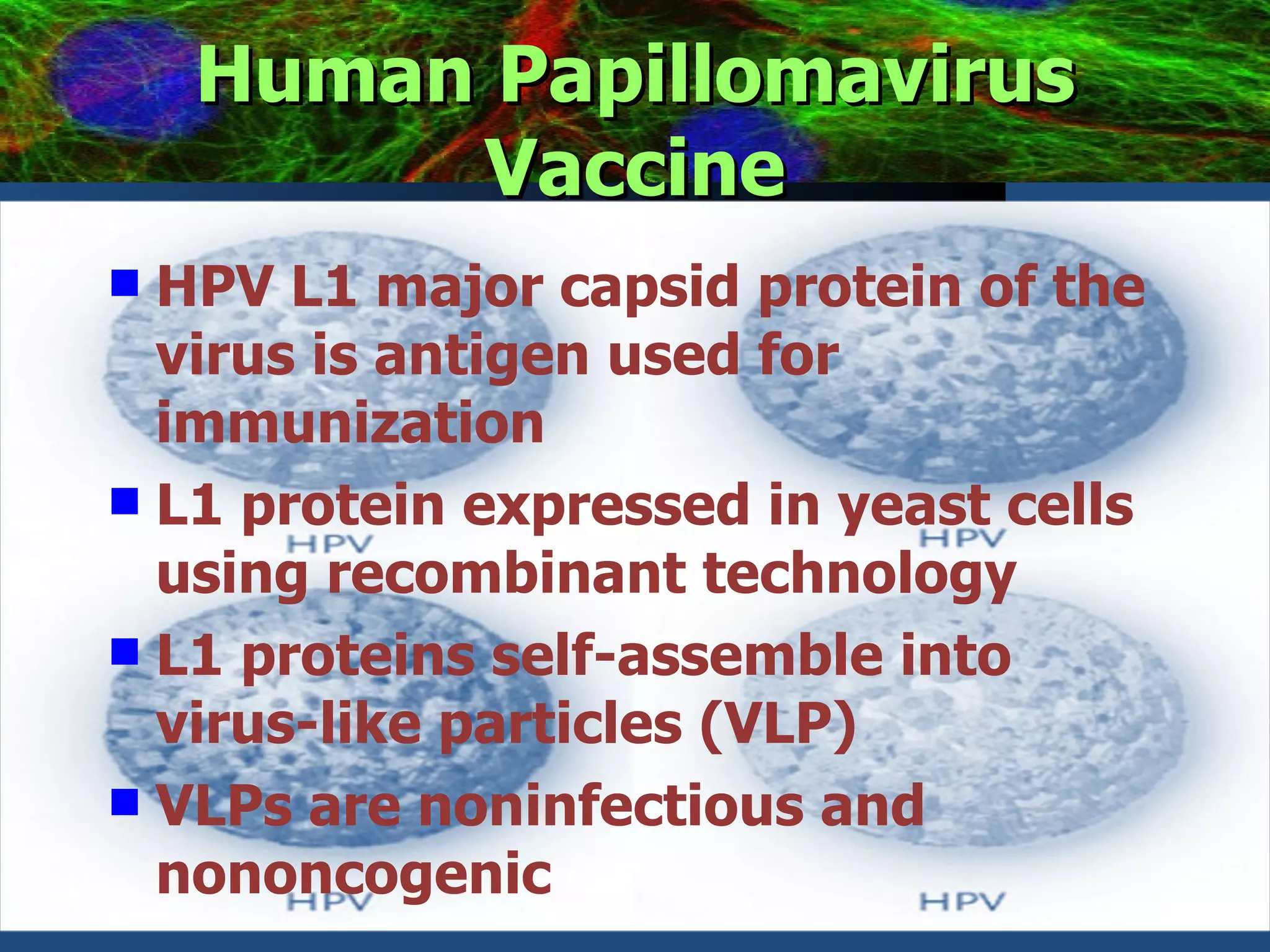 HUMAN PAPILLOMA VIRAL INFECTION 2010 | PPT