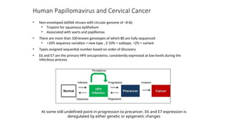 Cervical Cancer cause, epidemiology and diagnostic screening .ppt