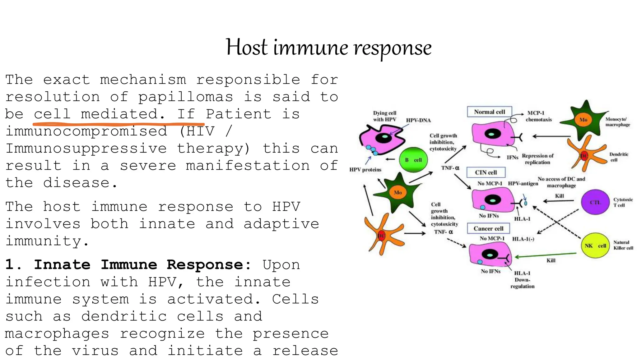 Understanding HPV: A Comprehensive Overview.pptx