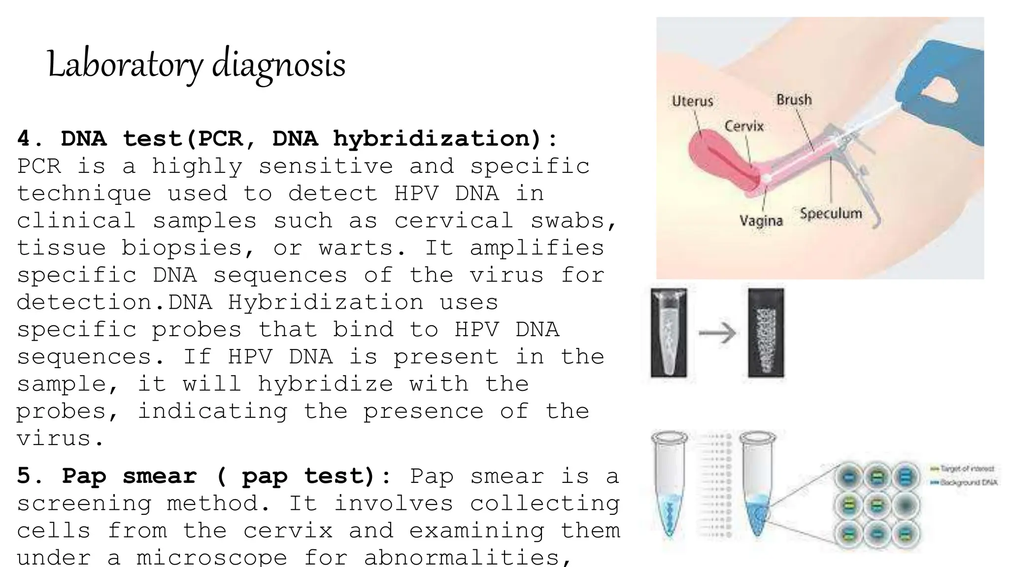 Understanding HPV: A Comprehensive Overview.pptx