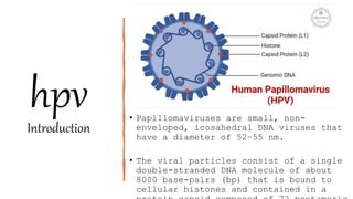 Understanding HPV: A Comprehensive Overview.pptx