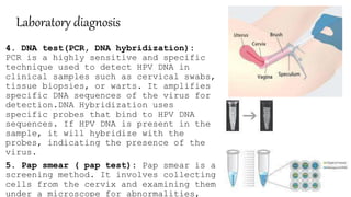 Understanding HPV: A Comprehensive Overview.pptx