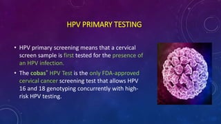 HPV SCREENING & CO TESTING | PPTX