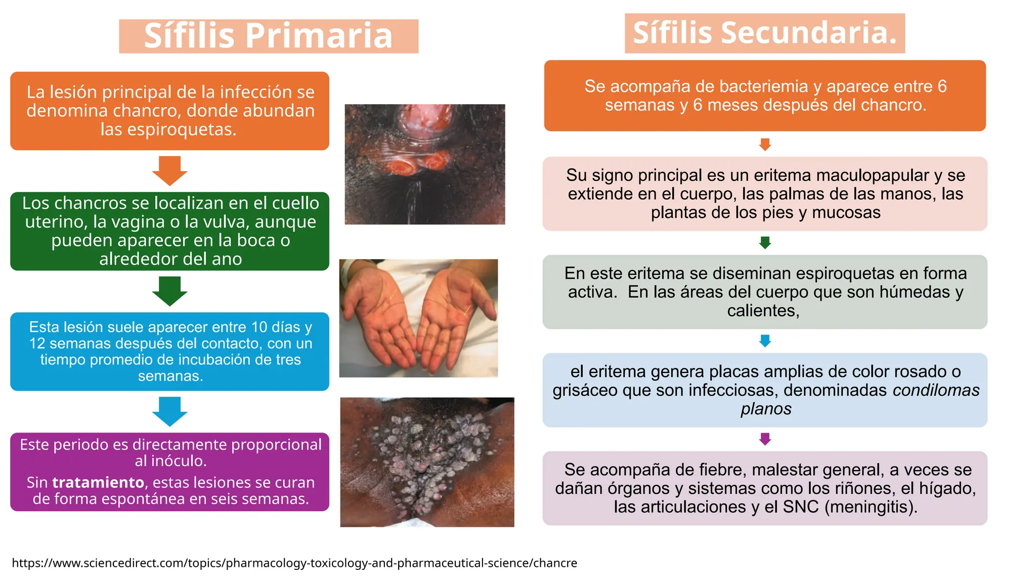 HPV, SIFILIS, GONORREA, PEDICULOSIS PUBICA, MOLUSCO CONTAGIOSO.pptx