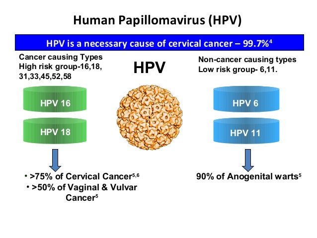 Hpv vaccination