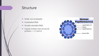 HPV virus.pptx