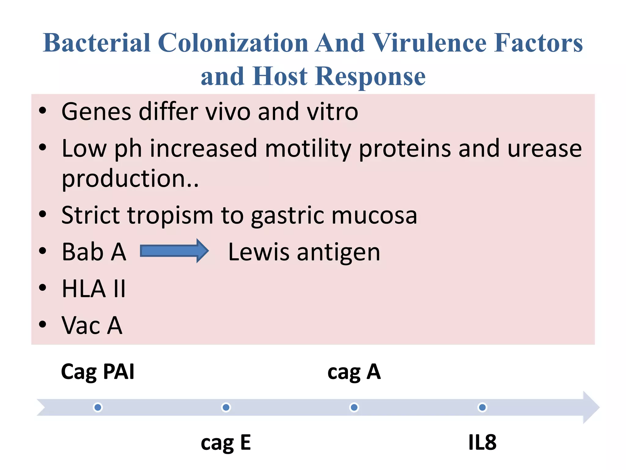 H pylori | PPTX