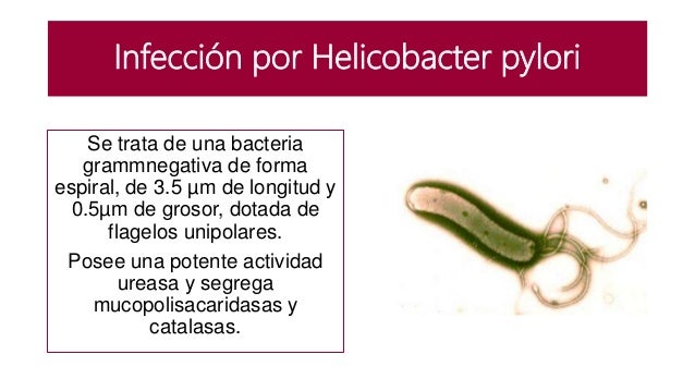 Helicobacter Pylori