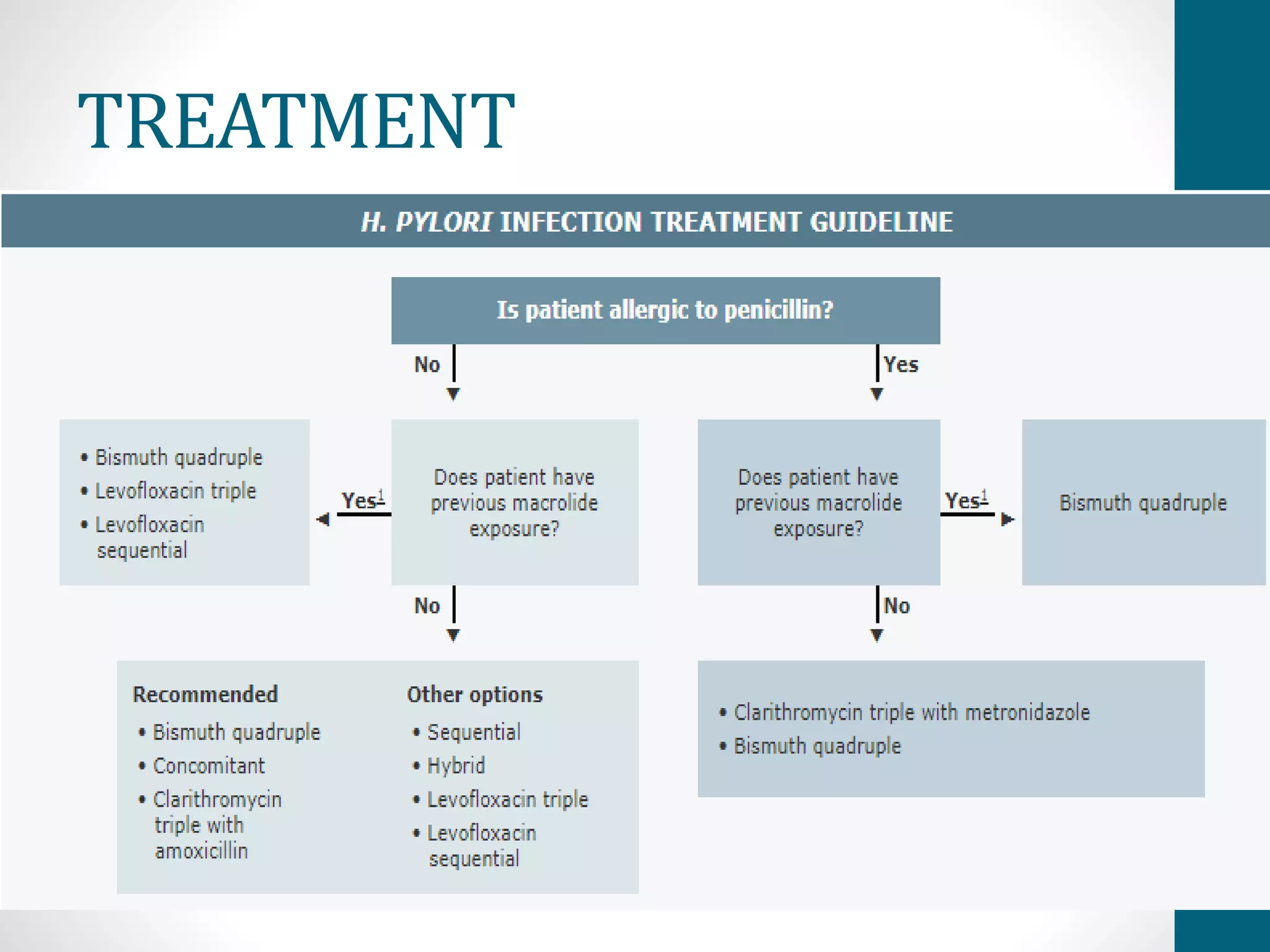 Helicobacter pylori infections | PPTX