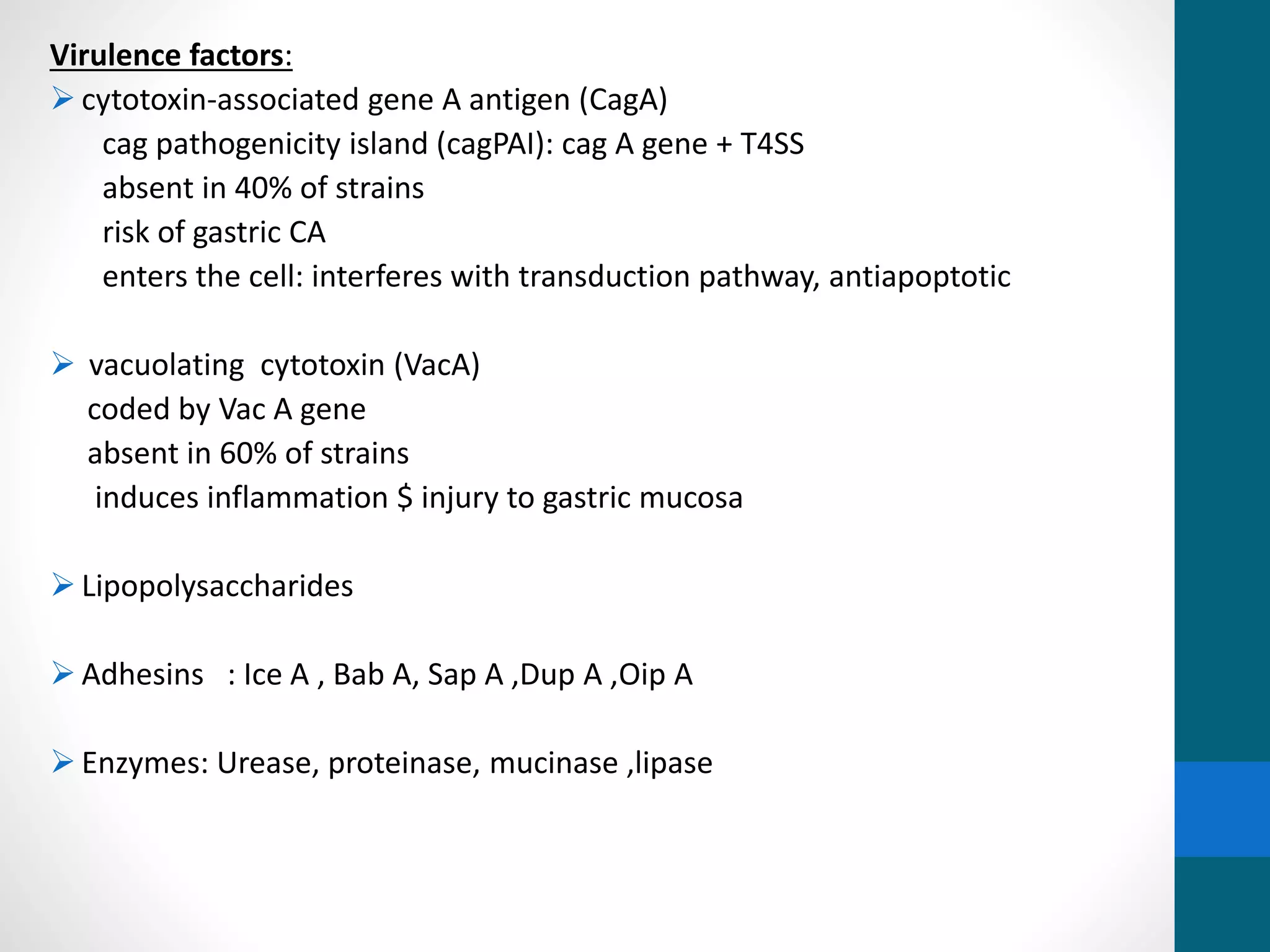 Helicobacter pylori infections | PPTX