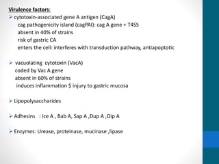 Helicobacter pylori infections | PPTX