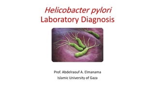 H pylori | PDF | Infectious Diseases | Diseases and Conditions