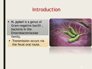 H pylori 3.pptx