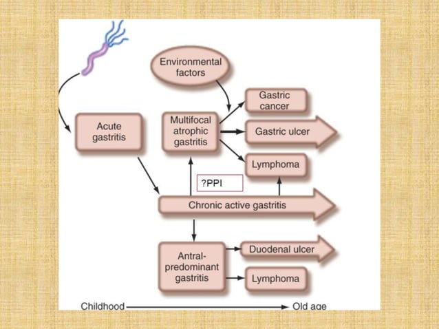 H pylori resistance | PPTX