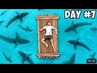 Mr beast | PDF