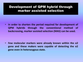 High Quality Protein Maize | PPTX