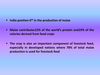 High Quality Protein Maize | PPTX