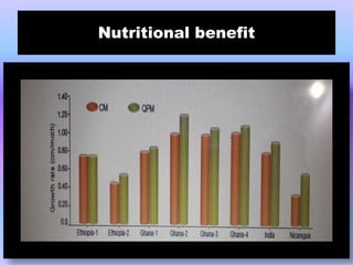 High Quality Protein Maize | PPTX