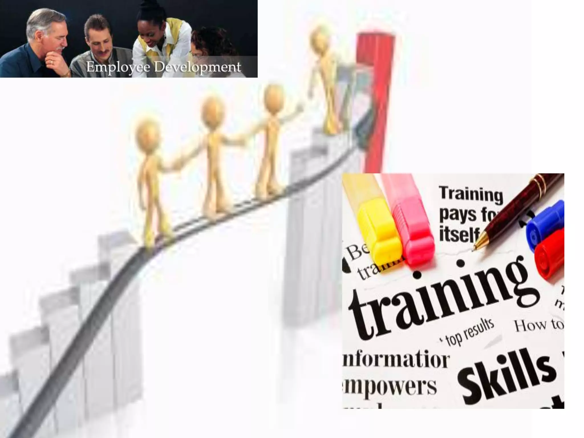 HUMAN RESOURCE MANAGEMENT POLICIES OF TCS AND PANTALOONS | PPTX