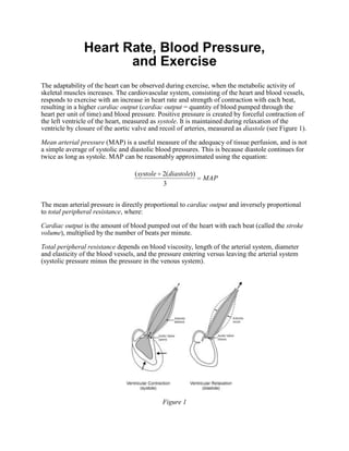 Hr.bp. exercise (1) | DOCX