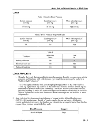 Hr.bp.ice experiment 1 | PDF