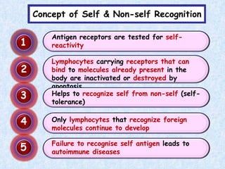 Hr 4 development of immunity | PPT